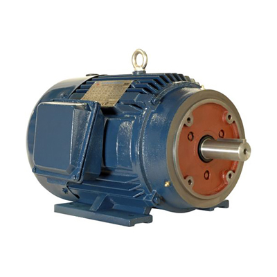 NAE “C” Flanged Premium Eff Cast Iron Electric Motors – ElectricalHelper